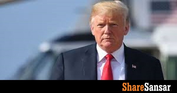 Donald Trump Projected to Win 2024 Presidential Election, Becomes First ...