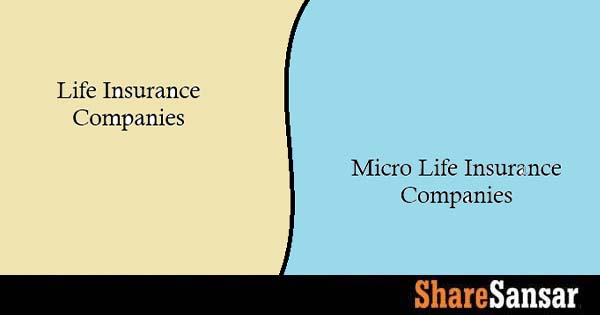 Understanding the Contrast: Life Insurance Companies vs. Micro life ...