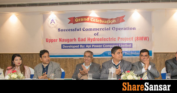 Api Power Company begins operation of 8 MW Upper Naugarh Gad Project at ...