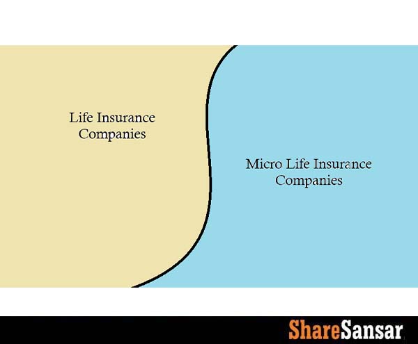 Understanding the Contrast: Life Insurance Companies vs. Micro life ...