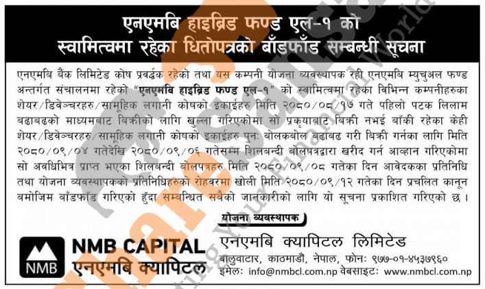 NMB Capital Limited has allotted shares/debentures/collective ...